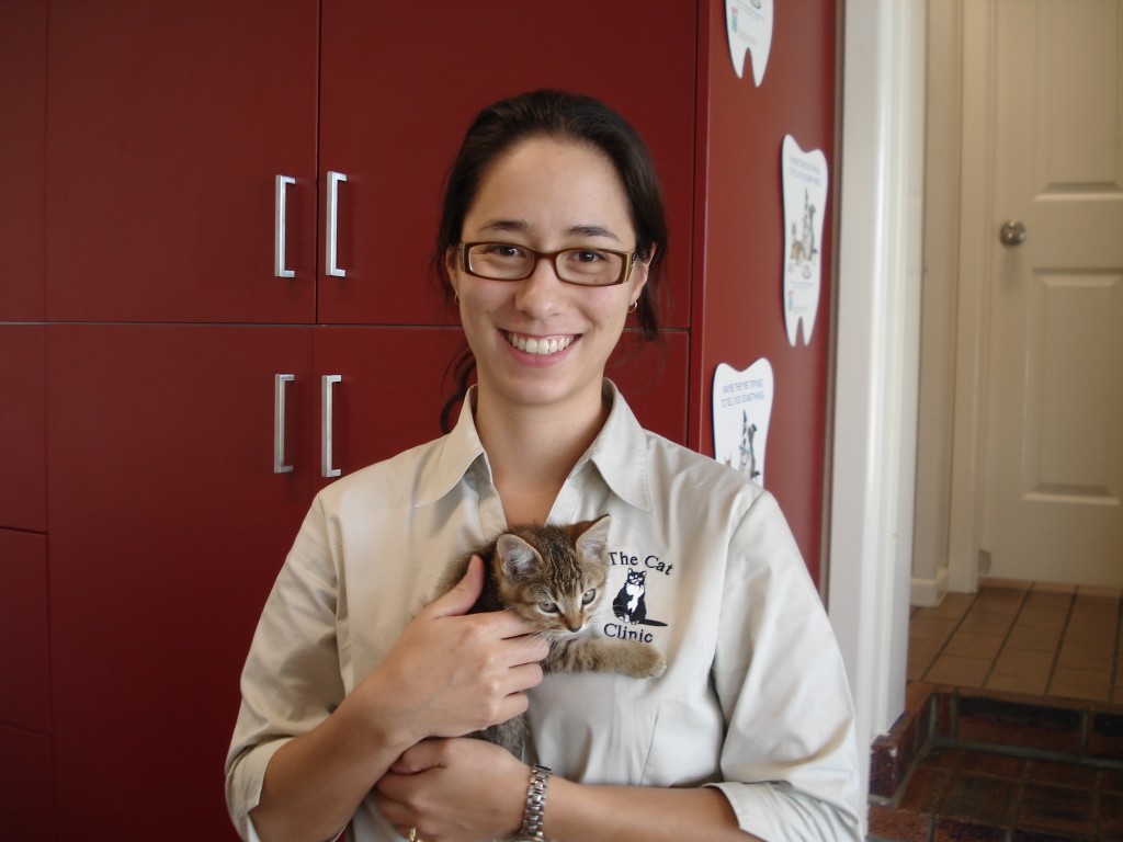 Alison Jukes - The Cat Clinic