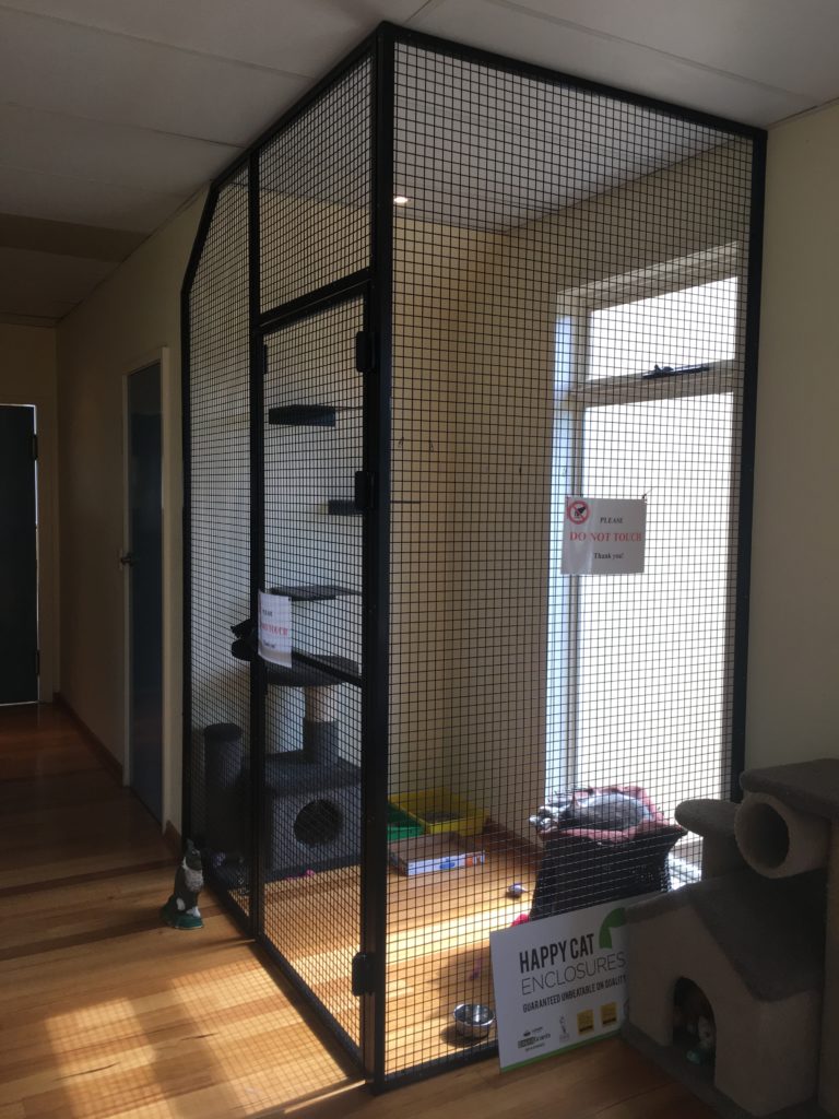 We love our new Adoption Center! - The Cat Clinic